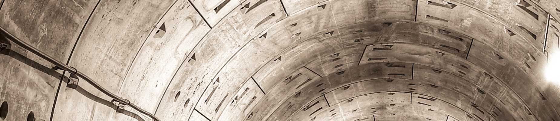 Building Performance & Regulations Committee Bios 2023 | AIA Los Angeles